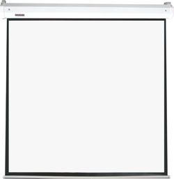 Parrot Electric Projector Screen - 3050mm x 3050mm | Shop Today. Get it ...