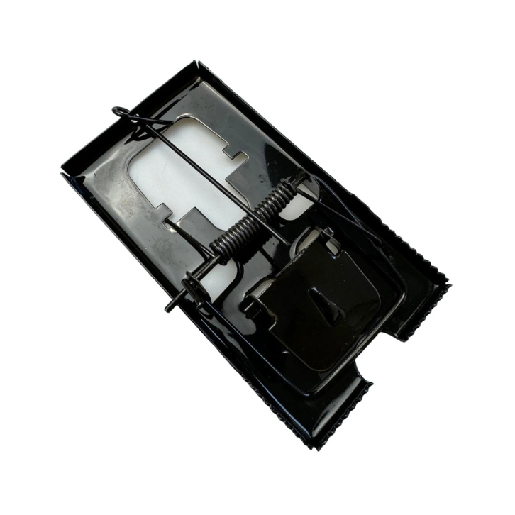 Classic Metal Mouse Traps Fully Burnished - Snap Trap for Mice | Shop ...