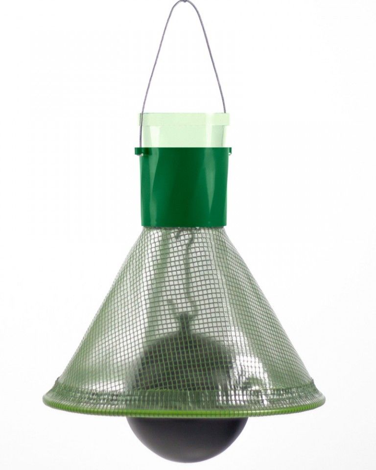 Outdoor Flying Insect Trap | Shop Today. Get it Tomorrow! | takealot.com