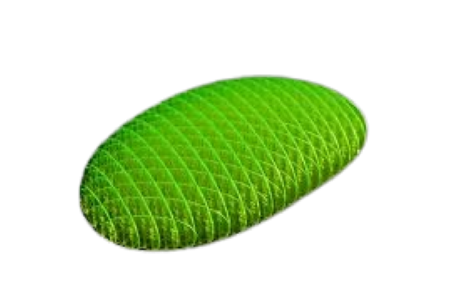 Fidget Morph Worm - Fidget Toy | Shop Today. Get it Tomorrow ...