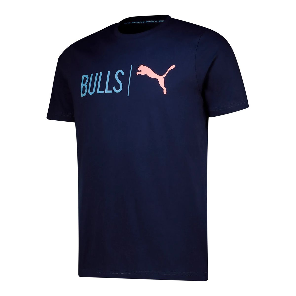 Puma Men's Bulls Culture Unisex Graphic Tee Football Tees - Blue | Shop ...