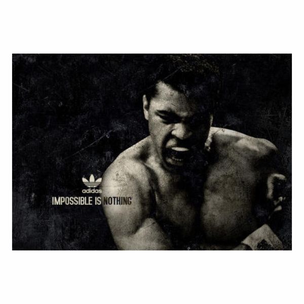 Muhammad Ali | Shop Today. Get it Tomorrow! | takealot.com