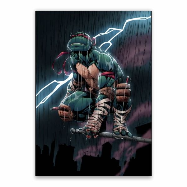 Rafael Ninja Turtle Poster - A1 | Shop Today. Get it Tomorrow ...