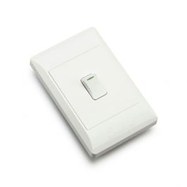 Wall-Mounted Single Light Switch | Shop Today. Get it Tomorrow ...