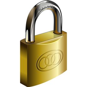 TRI-CIRCLE Key-Alike Universal Padlock Set - Brass/Iron 6 Pack (25-50mm ...