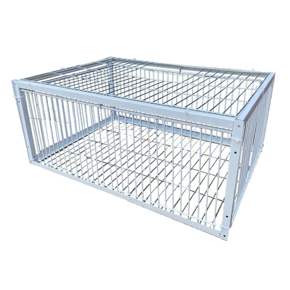 Pet Two-Way Entry Trap Humane Pigeon Bird Cage With Window -70cm | Shop ...