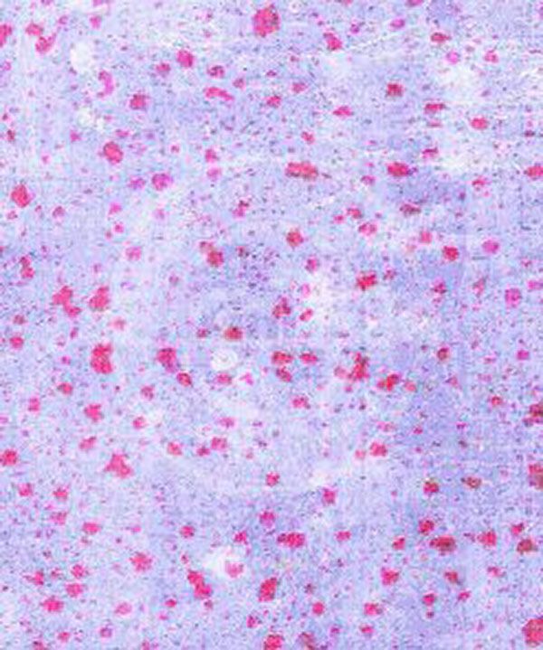 Heat Transfer Vinyl For Apparel - Pattern -Pink Splatter | Shop Today ...