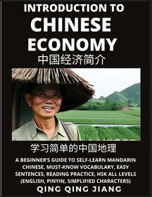Introduction To Chinese Economy A Beginner S Guide To Self Learn