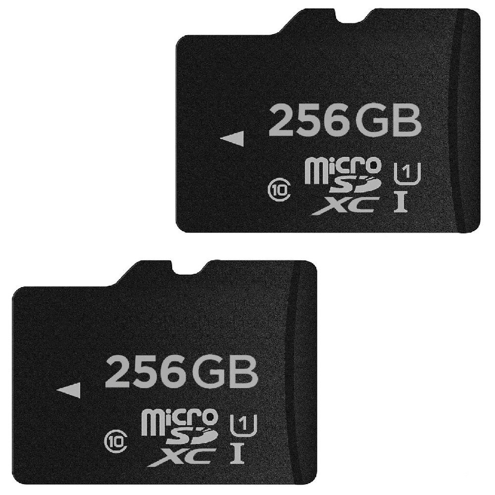 256GB Micro-SD Memory Card (Pack of 2) | Shop Today. Get it Tomorrow ...