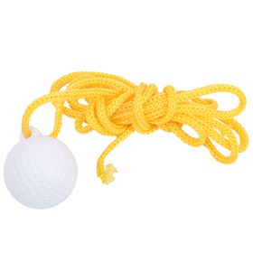 Pocket golf swing ball with string beginner | Shop Today. Get it ...