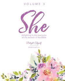 She: Delighting In The Examples Of The Women Of the Bible - Vol. 3 ...