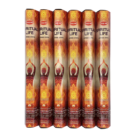 HEM Spiritual Life Incense Sticks - 120 Sticks | Shop Today. Get it ...
