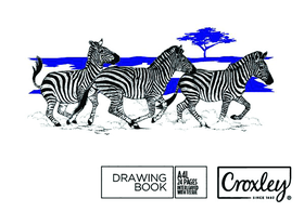 CROXLEY Drawing Book A4l 24 Page - Pack 20 (Interleaved with Tissue ...