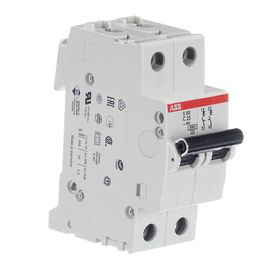 Abb (S202-C25) Thermal Magnetic Circuit Breaker, 25 A, 2 Pole | Shop ...