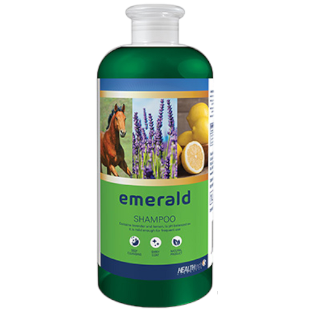 Health Tech - Emerald Shampoo | Shop Today. Get it Tomorrow! | takealot.com