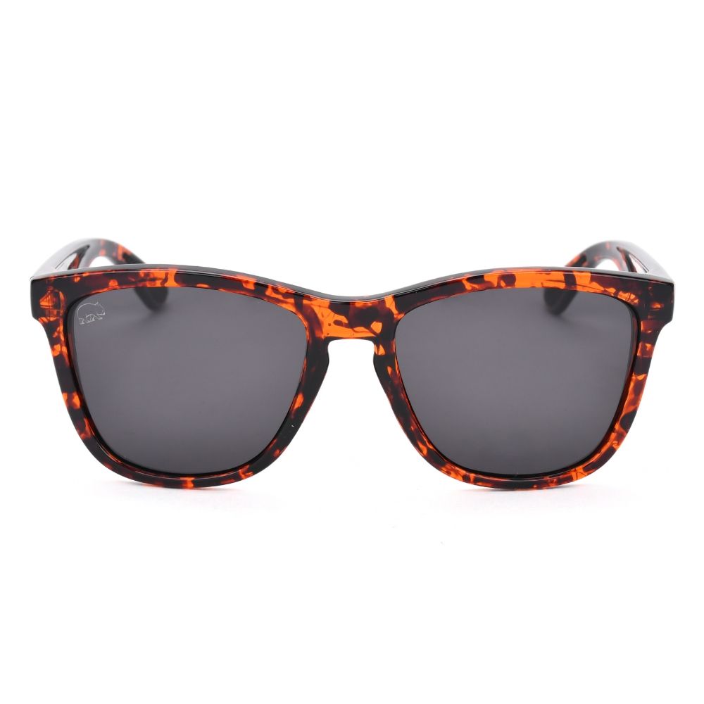 Wombat Stroke 2.0 Polarised Sunglasses - Glossy Tortoise Shell | Shop ...