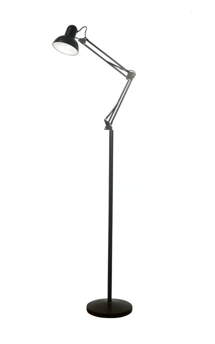 Drlight Adjustable Metal Standing Lamp With Rotatable Head | Shop Today ...