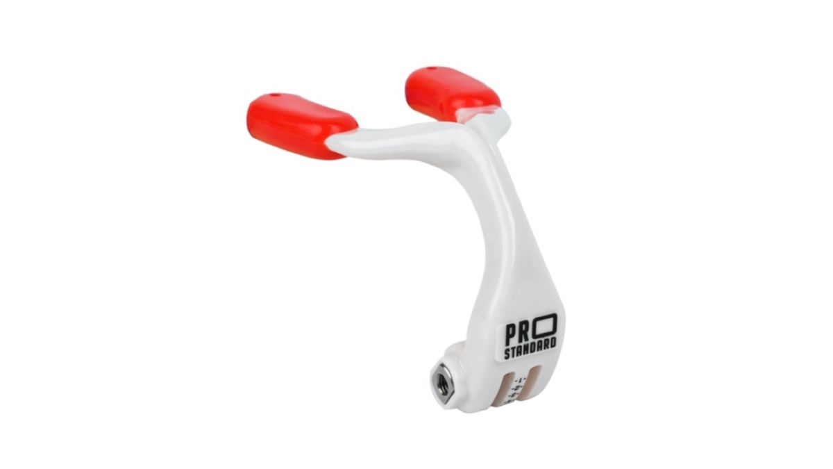 Insta360 POV Mouth Mount - Action Camera Mouth Mount with 1/4" Adapter ...