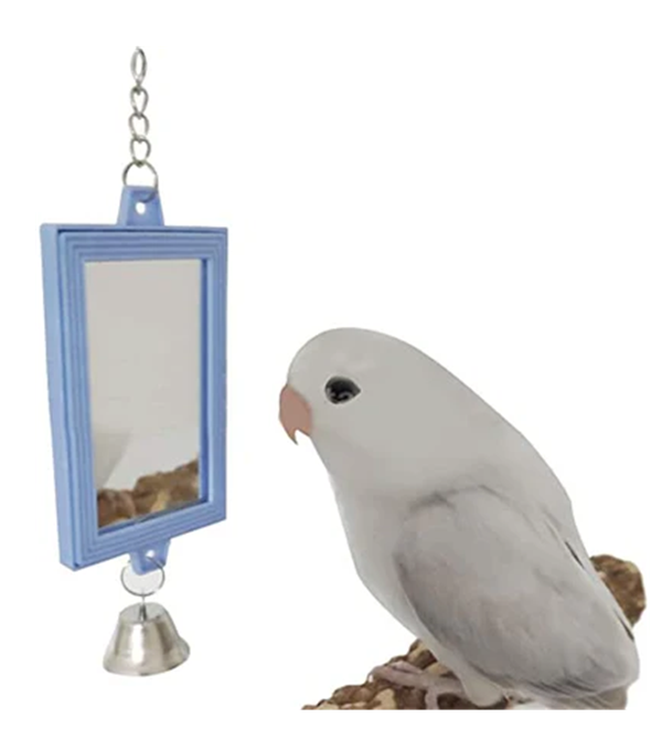 Rectangular Bird Ornament With 2 Sided Mirror | Shop Today. Get it ...