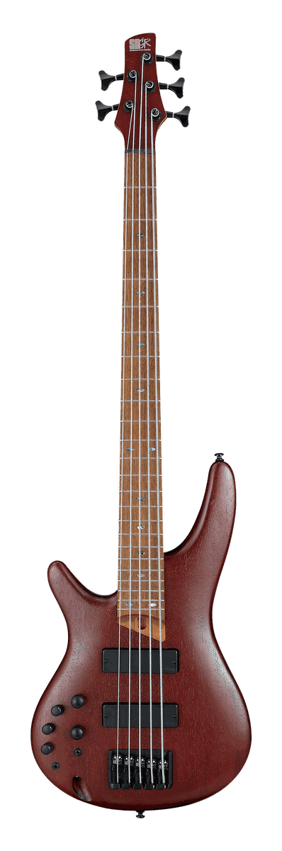 Ibanez SR505EL-BM 5-String Bass Guitar | Shop Today. Get it Tomorrow ...