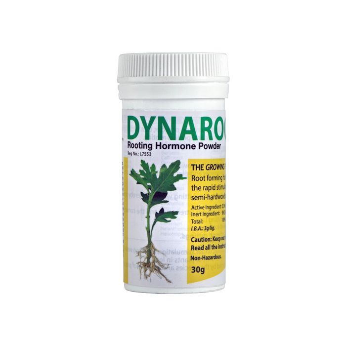 Dynaroot 2 - Rooting Hormone Powder - Herb & Plant Food Propagation ...