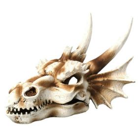 Pet Reptile Fish Tank Aquarium & Terrarium Resin Dragon Skull | Shop ...