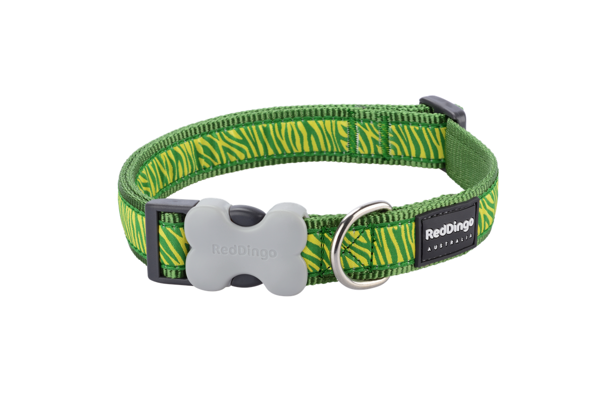 Red Dingo Design Collar - Safari Green | Shop Today. Get it Tomorrow ...