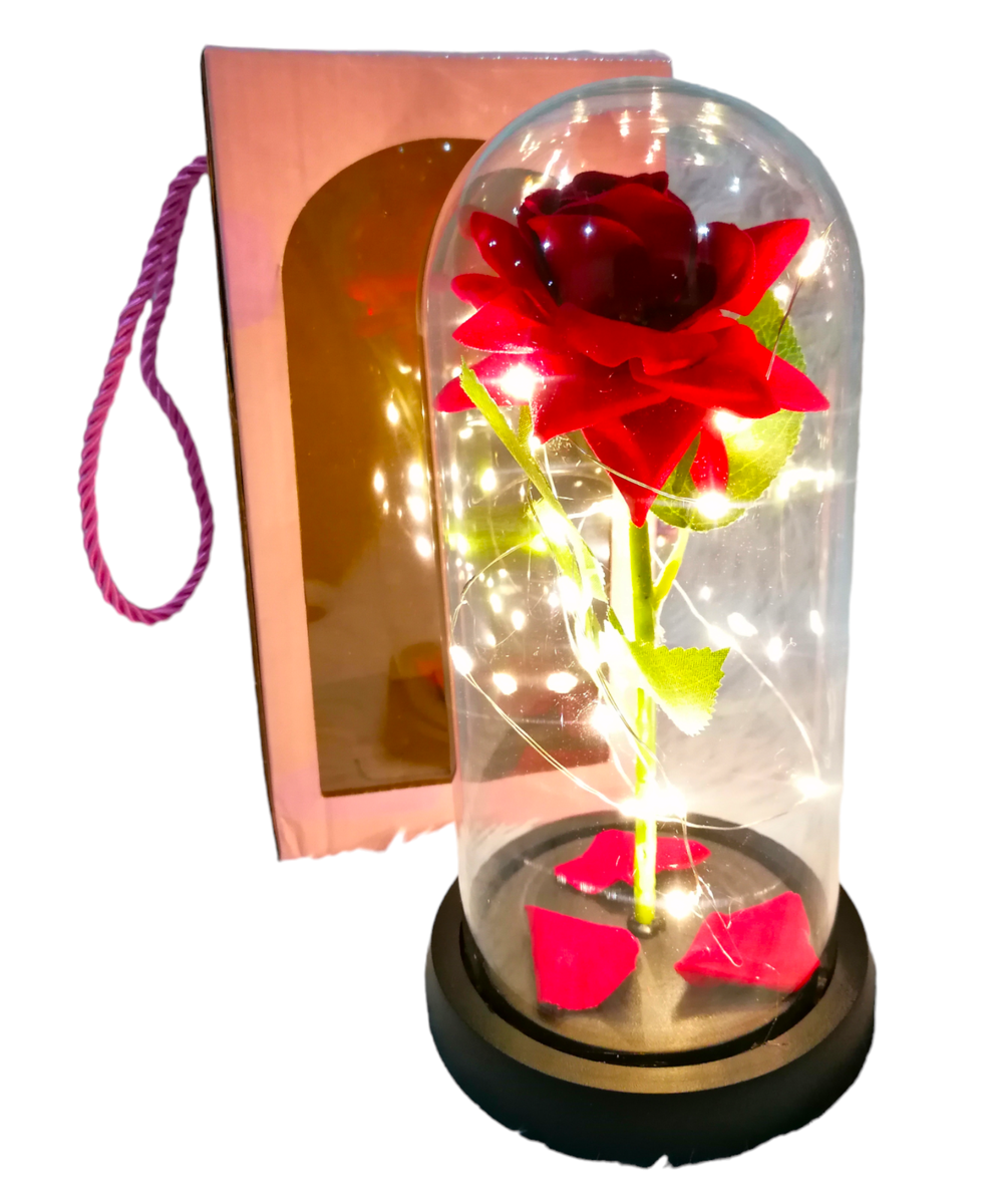 Forever Rose With LED Lights | Shop Today. Get it Tomorrow! | takealot.com
