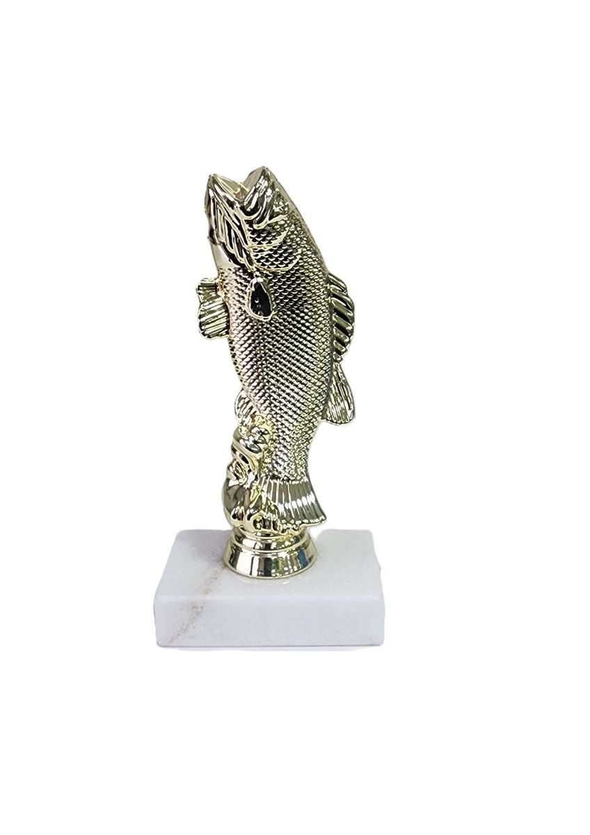 Large Fish Trophy (Pack of 5) | Shop Today. Get it Tomorrow! | takealot.com
