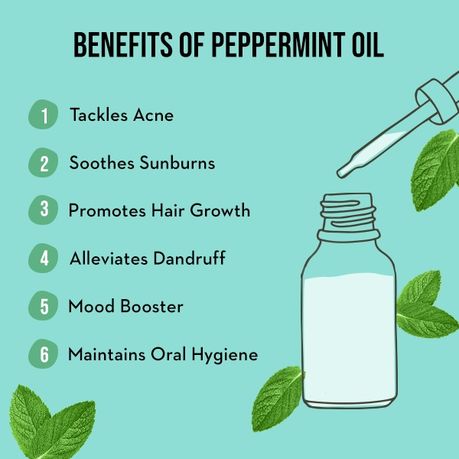 NBT Naturals Peppermint oil Shop Today. Get it Tomorrow takealot