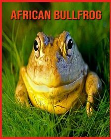 African Bullfrog: Amazing Photos & Fun Facts Book About African ...