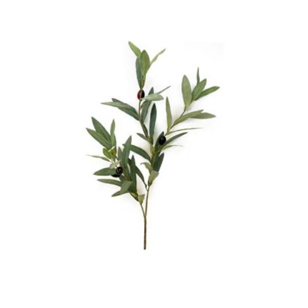 Toolhome Blossoms - Olive - Green - 84cm - Pack of 12 | Shop Today. Get ...