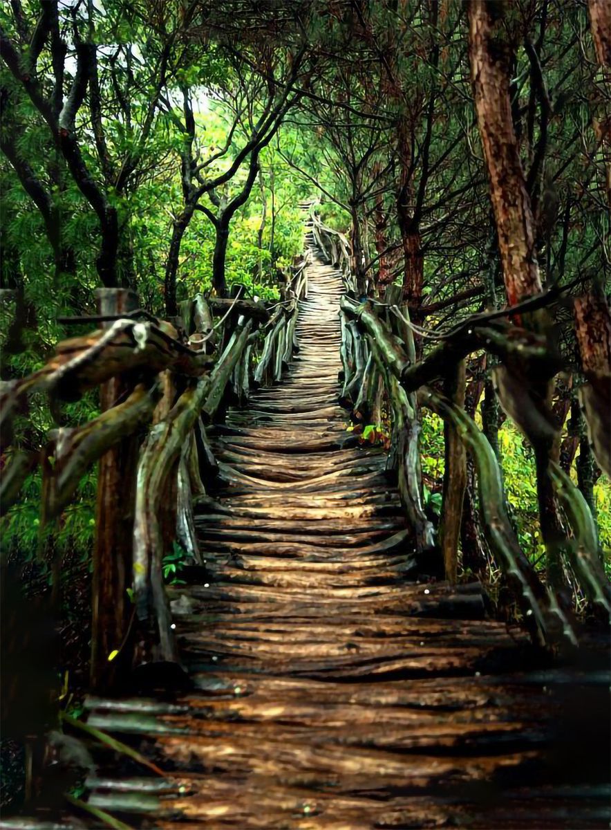 Canvas Wall Ar t- Green Walkway | Shop Today. Get it Tomorrow ...