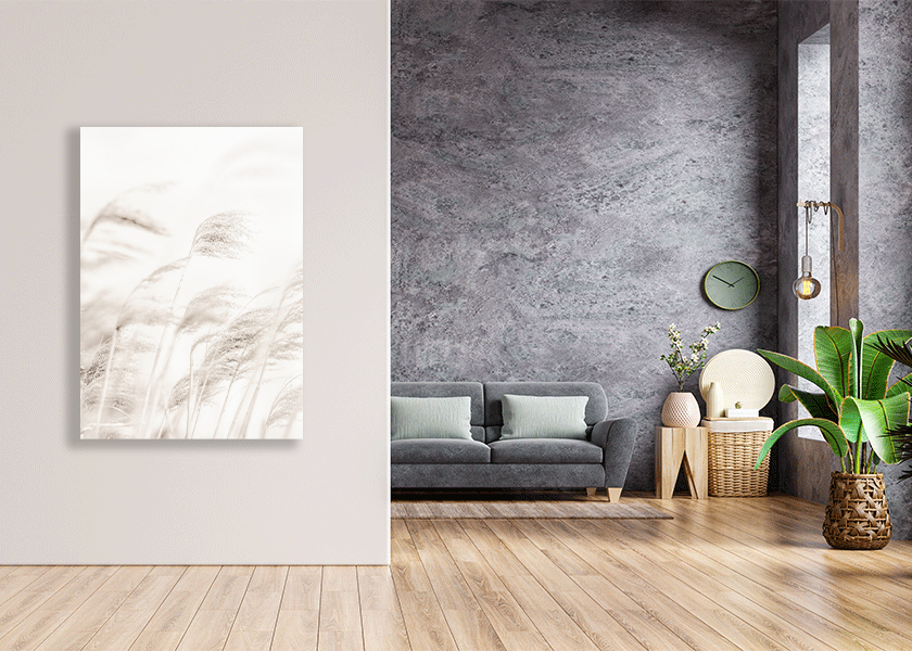 Canvas wall art - Reed | Shop Today. Get it Tomorrow! | takealot.com
