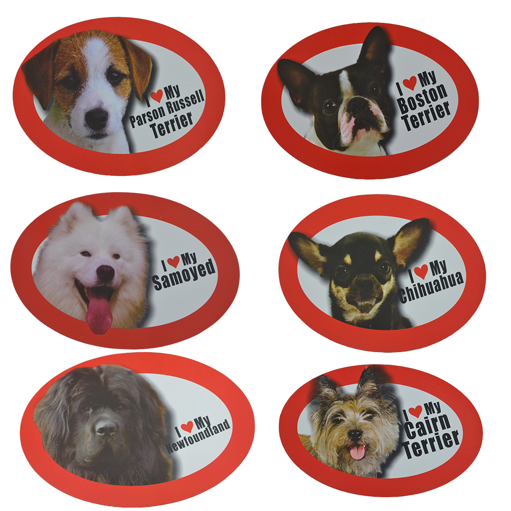 6 Pack Dog Magnets | Shop Today. Get it Tomorrow! | takealot.com