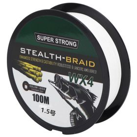 PE Fishing Line 100M 4-Weave Anti Bite Lure Tackle | Shop Today. Get it ...