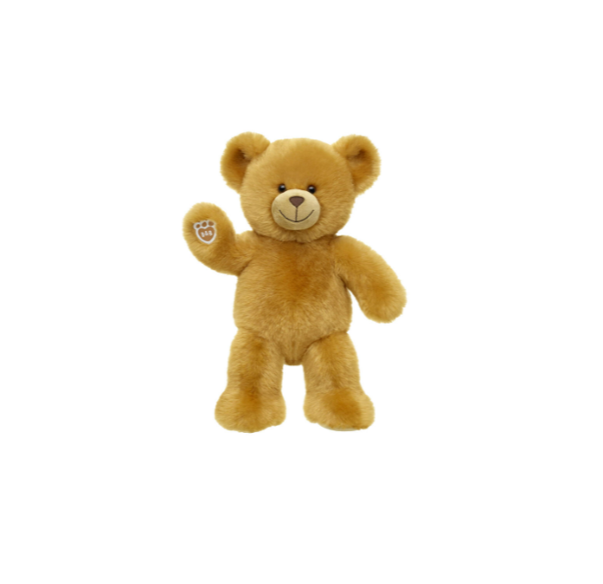 BUILD A BEAR Read Teddy 2022 - 030949 | Shop Today. Get it Tomorrow ...