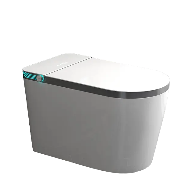 Aqua Flush Smart Toilet - Tankless | Shop Today. Get it Tomorrow ...