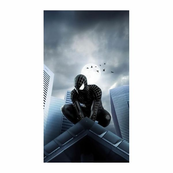 Spider-Man Roof Poster A1 | Shop Today. Get it Tomorrow! | takealot.com