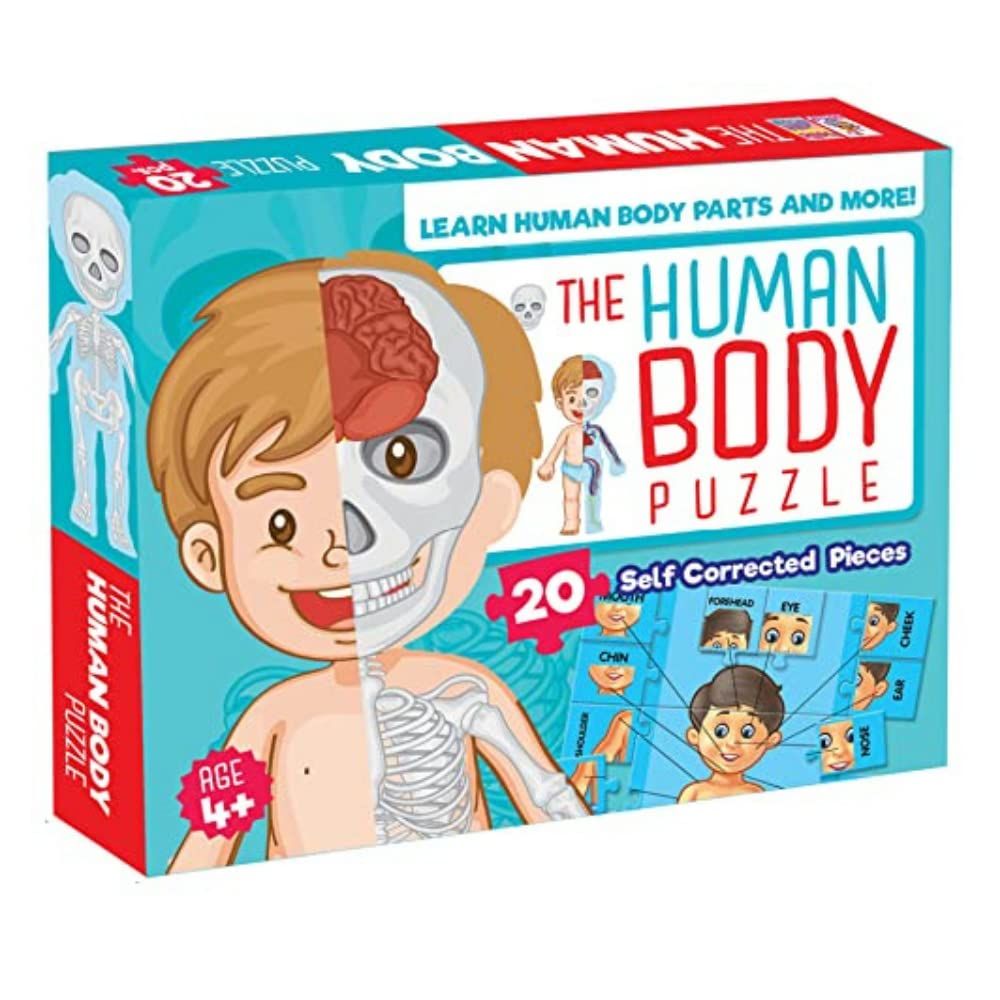 Human Body Jigsaw Human Puzzle 20 Pieces x 2 | Shop Today. Get it ...