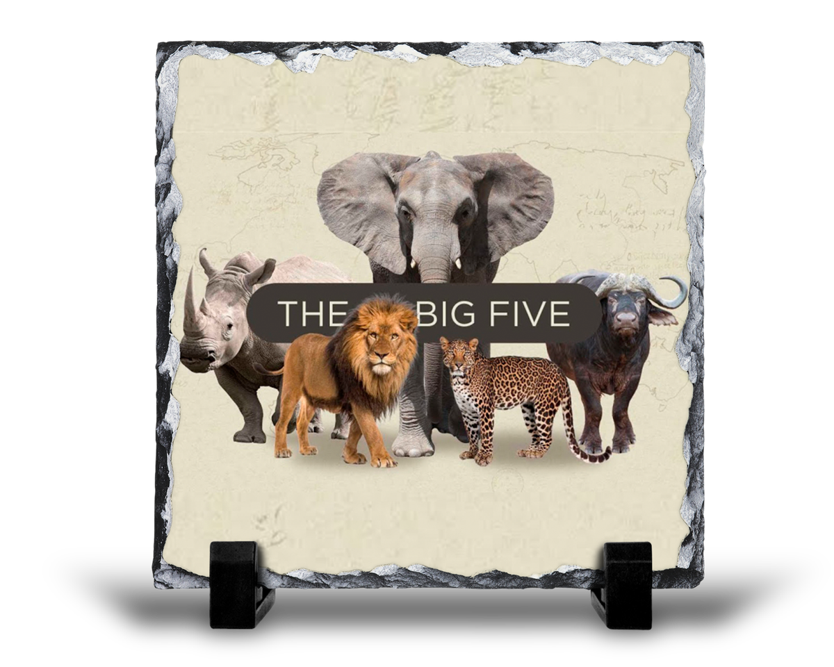 The Big Five Gift Rock Slate | Shop Today. Get it Tomorrow! | takealot.com