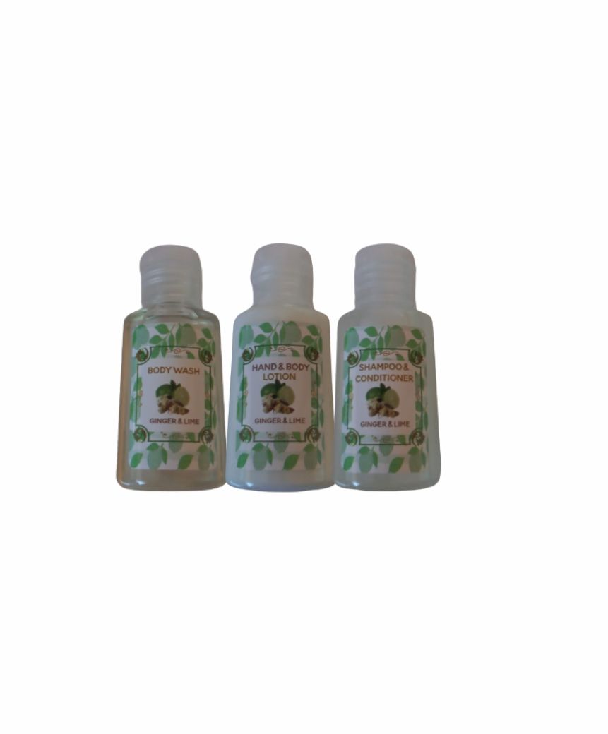 Calro Hospitality Room Amenities Pack 30ml Ginger & Lime | Shop Today ...