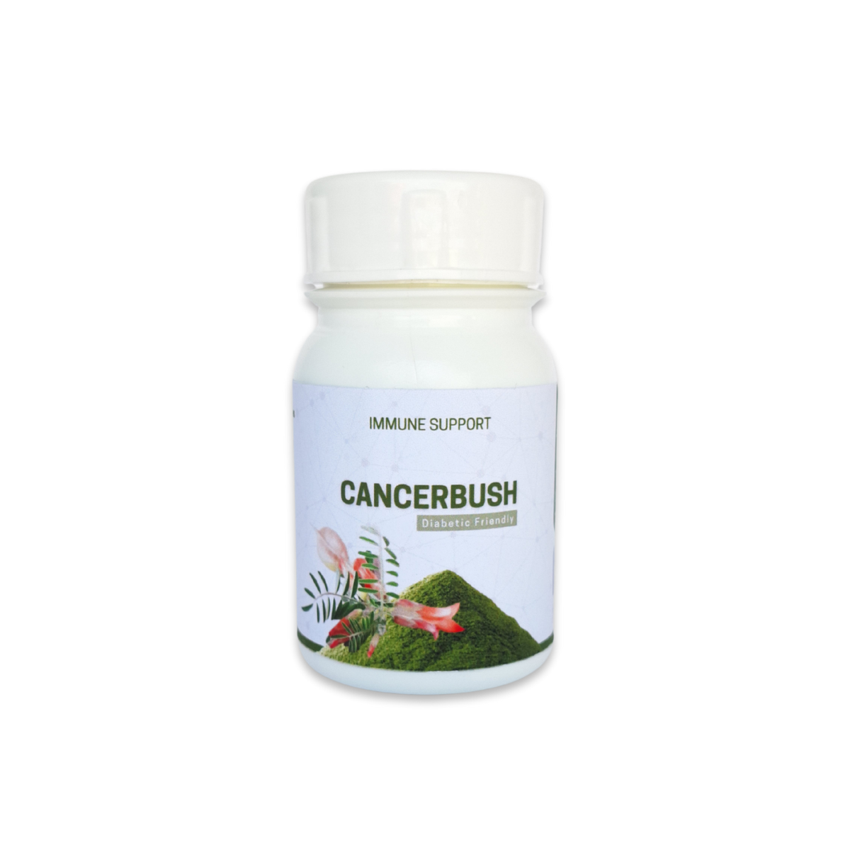 Cancerbush - 60 Capsules | Shop Today. Get it Tomorrow! | takealot.com