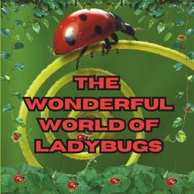 The Wonderful World of Ladybugs: Interesting Facts About Ladybugs ...
