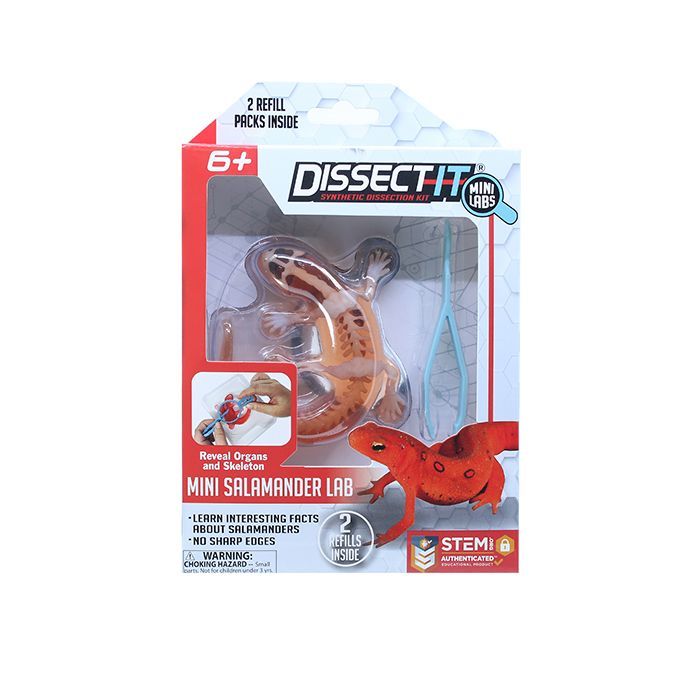 Dissect-It Mini Salamander With Magnifying Glass | Shop Today. Get it ...
