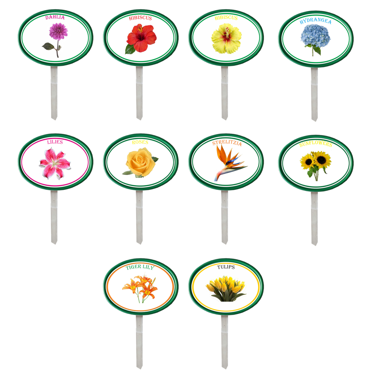 Garden Pops - Flowers - Pack 3 (Set of 10) | Shop Today. Get it ...