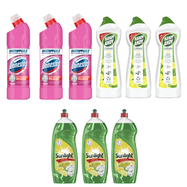 Mega Cleaning Supply Box 3X Sunlight/Domestos and Handy Andy 750ml ...