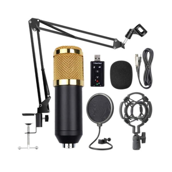 BM800 Professional Condenser Microphone Kit with Sound Card | Shop ...
