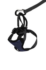 PetSafe Happy Ride Safety Harness | Shop Today. Get it Tomorrow ...