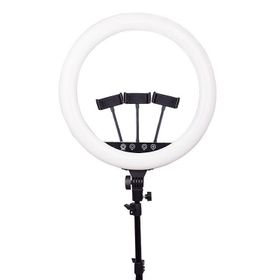 22" LED Ring Light | Shop Today. Get it Tomorrow! | takealot.com